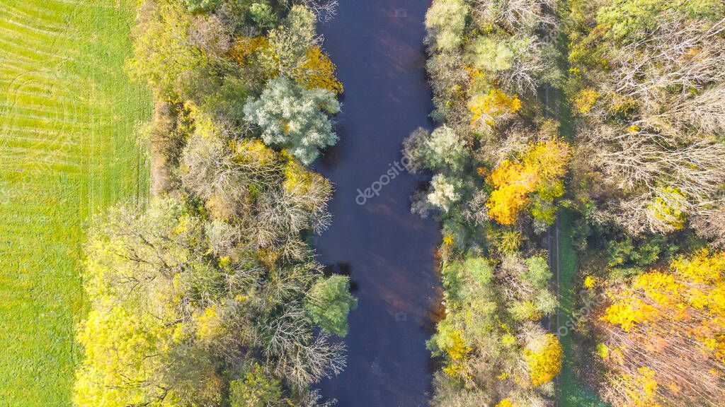Vista desde arriba sobre las hojas otoñales frondosas de las llanuras inundables cerca de ...