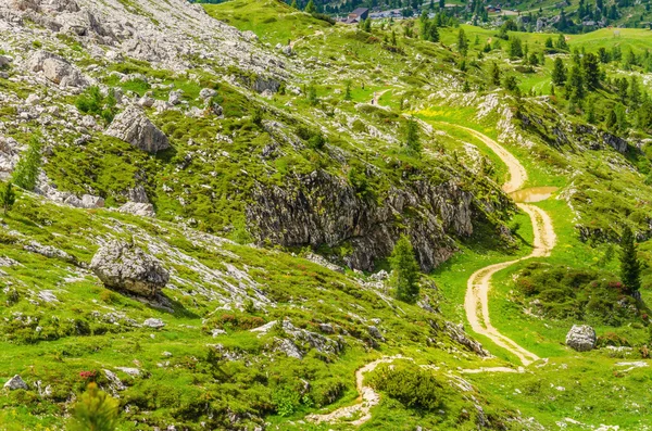 Winding Mountain Path