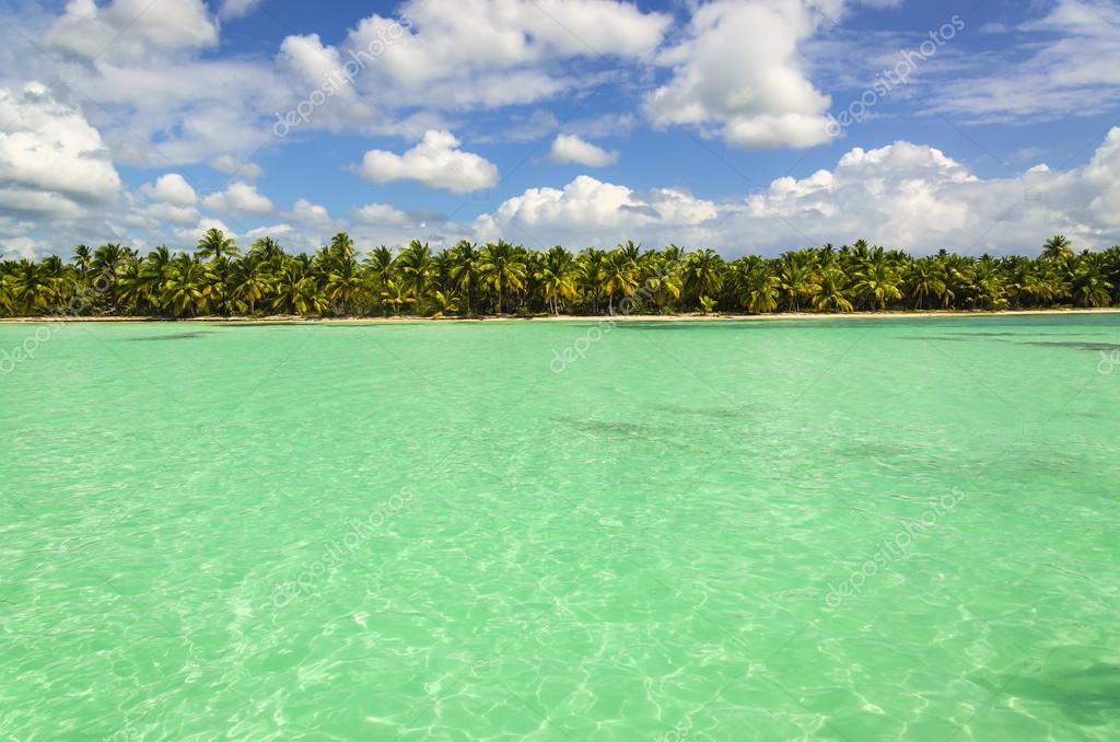 Palm trees over stunning lagoon — Stock Photo © ankamonika #72833559
