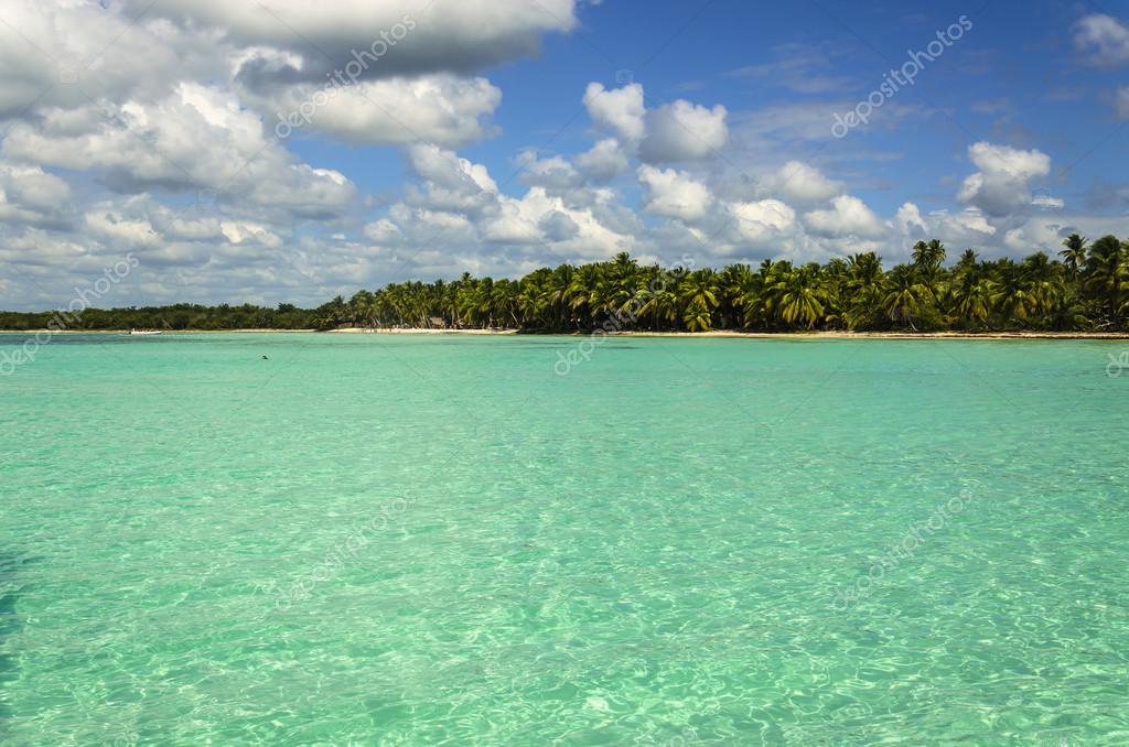 Palm trees over stunning lagoon — Stock Photo © ankamonika #72833905