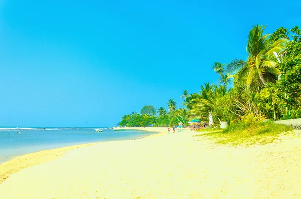 Exotic sandy beach with high palm trees Stock Photo by ©ankamonika 74066527