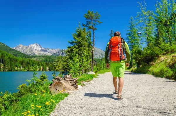 Man trekking Stock Photos, Royalty Free Man trekking Images | Depositphotos