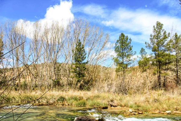 Rio blanco national park Stockfotografier, royaltyfria Rio blanco ...