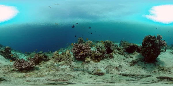 360 underwater panorama Stock Photos, Royalty Free 360 underwater ...