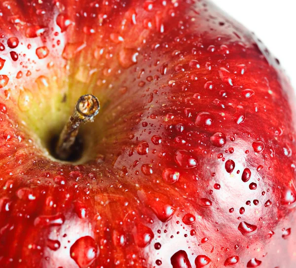 Beautiful close up apple — Stock Photo © stavklem_sale #82999990