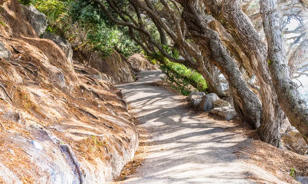 Walking track Stock Photos, Royalty Free Walking track Images ...