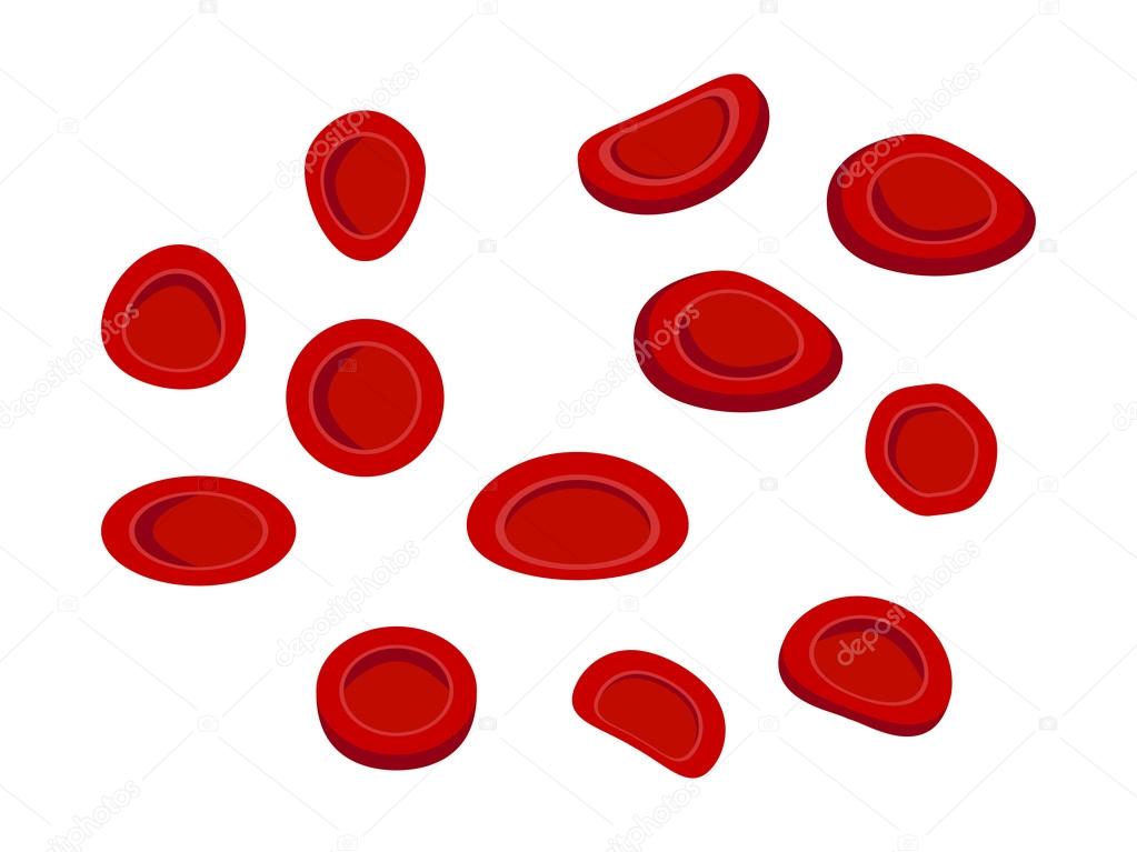 Hemácias no fundo branco. Células sanguíneas em estilo plano ...