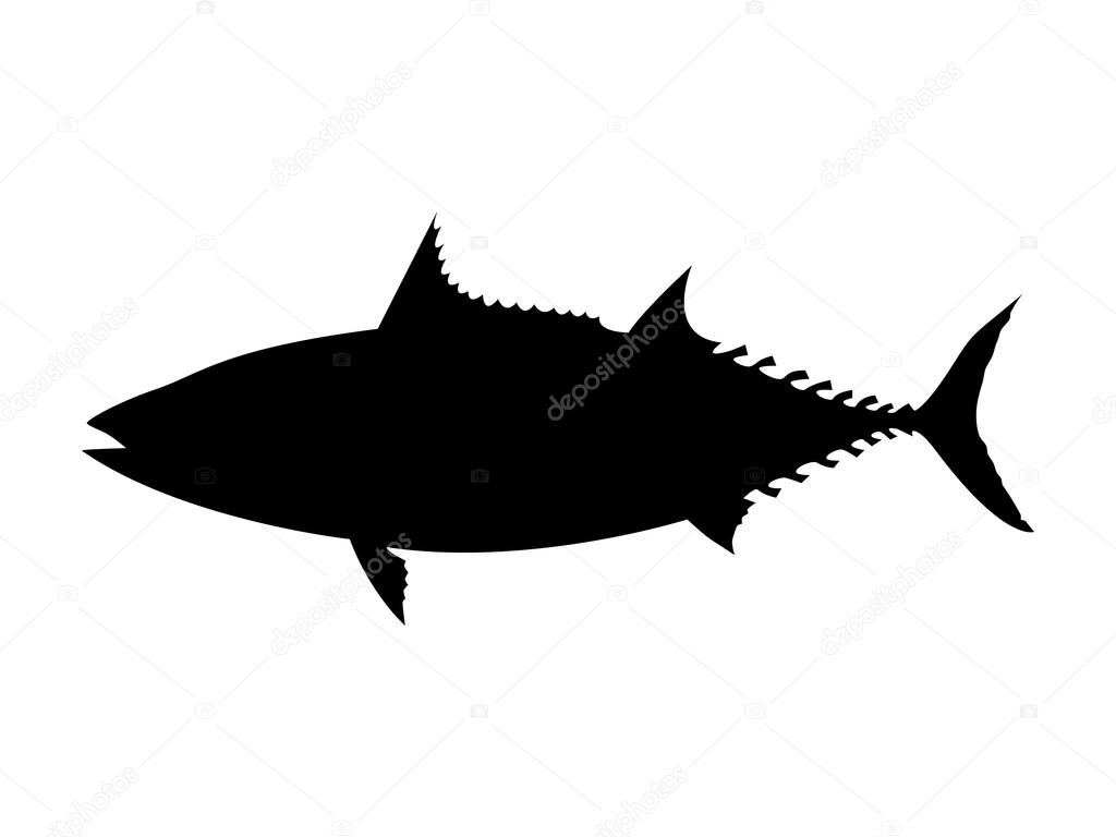 Skipjack tuna silhouette — Stock Vector © MartinStiavnicky #116958688 Skipjack tuna silhouette — Stock Vector © MartinStiavnicky #116958688