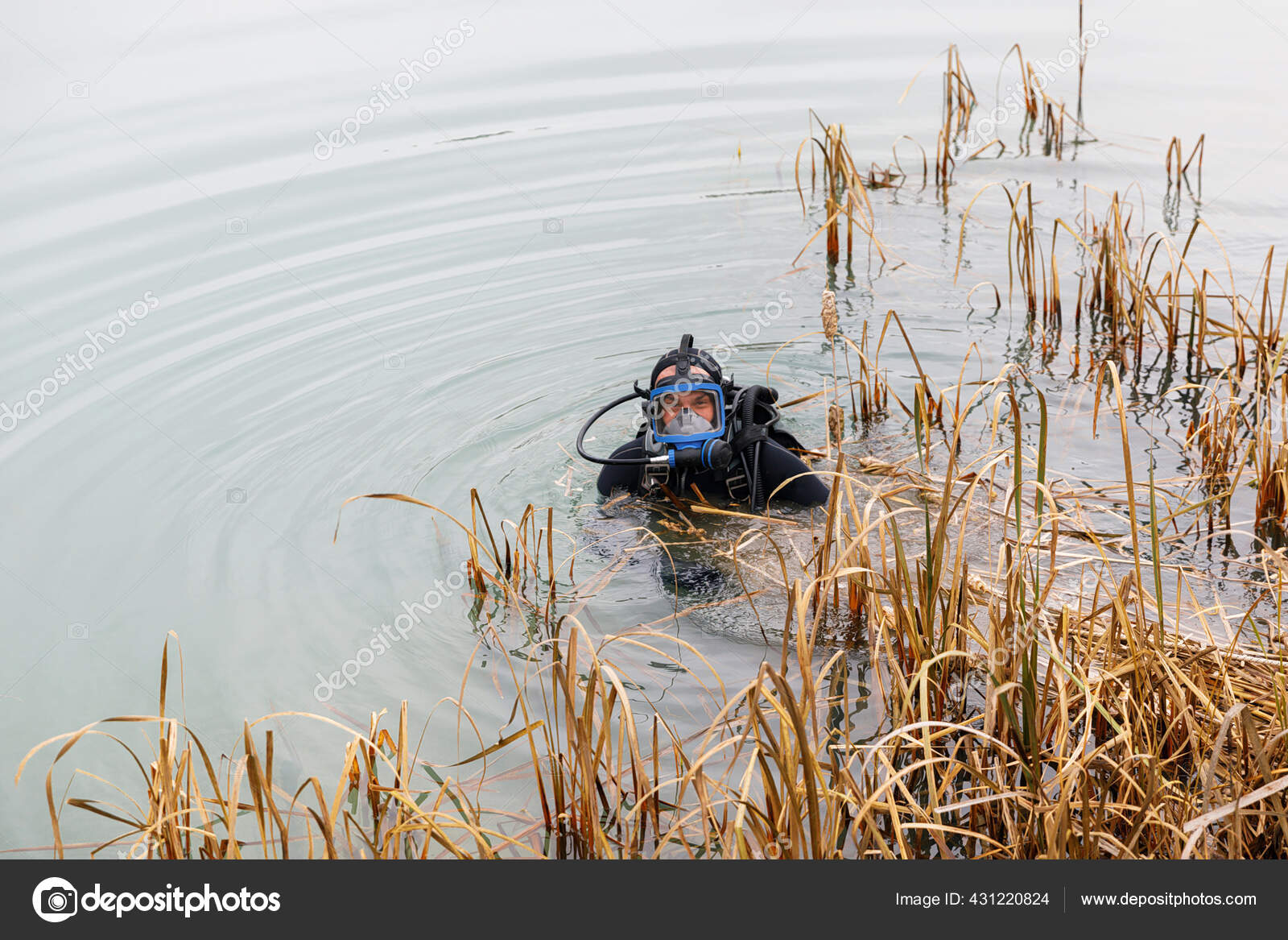 Lifeguard Wetsuit Preparing Dive Pond — Stock Photo © nazariykarkhut ...
