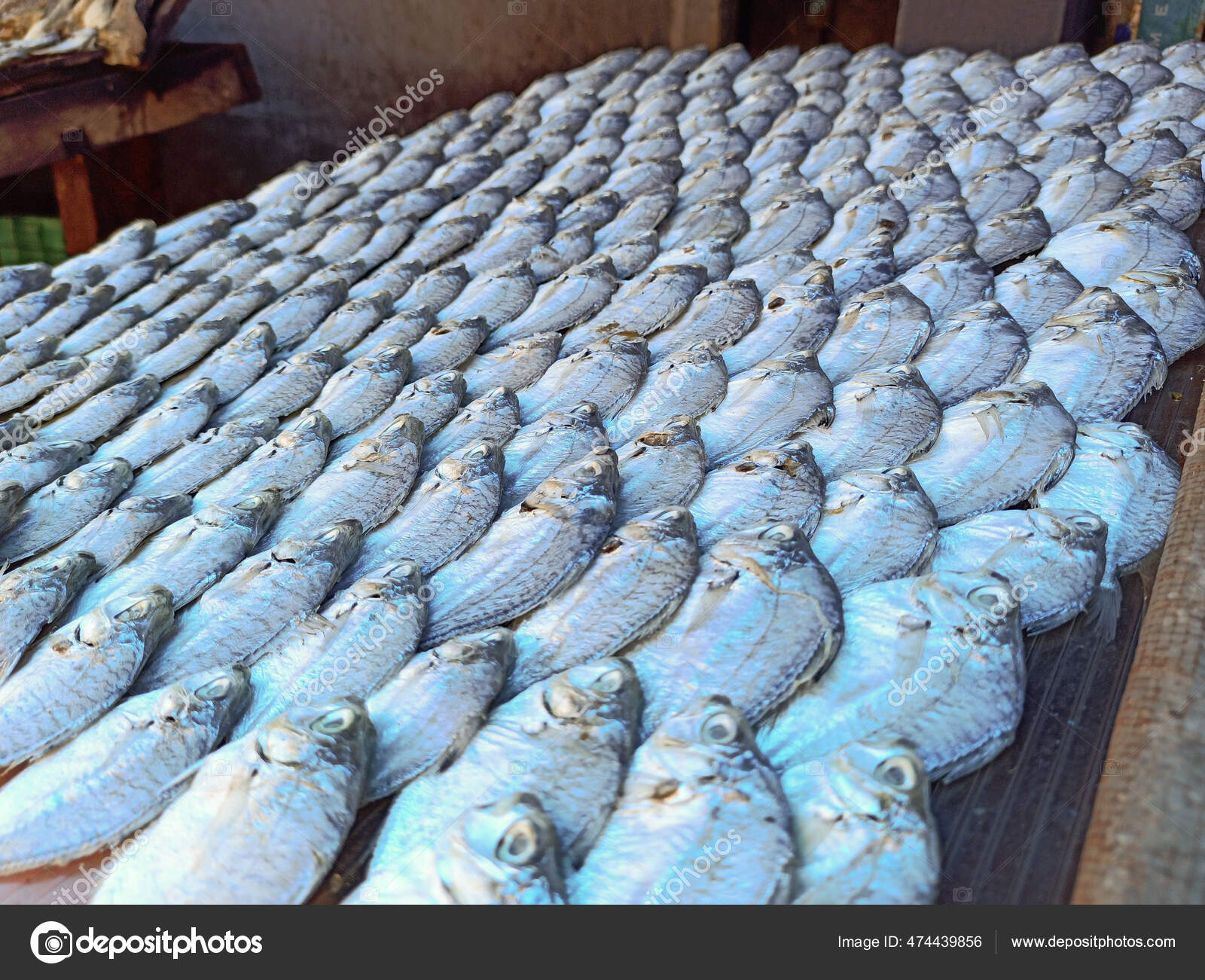 Dry Fish Dried Silver Belly Fish Kerala Pony Fish Arranged — Stock ...