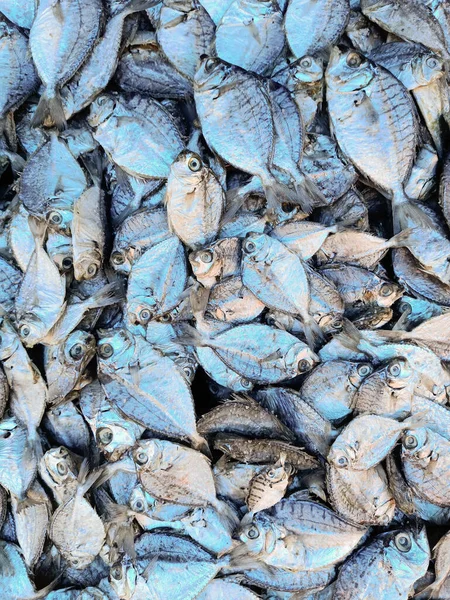 Dried fish images Stock Photos, Royalty Free Dried fish images Images ...