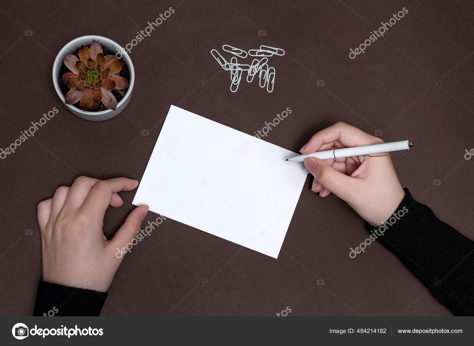 Woman Hand Holding Blank Notes Writing New Messege Updates Ideas. Lady ...