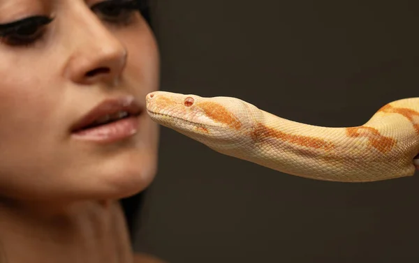 Model with snake Stock Photos, Royalty Free Model with snake Images ...