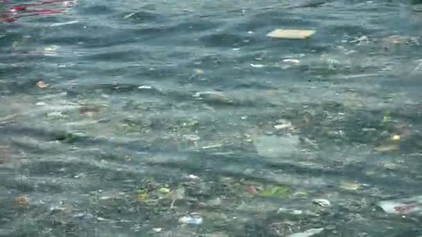 Water Pollution Full HD 1080p — Stock Video © DerinMedia #74813105