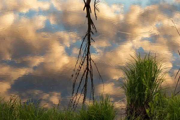 Reflection nature Stock Photos, Royalty Free Reflection nature Images ...