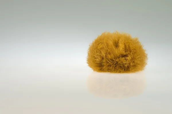 Furball Stock Photos, Royalty Free Furball Images | Depositphotos