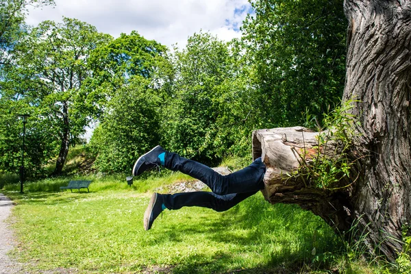 Man Looks Like A Tree