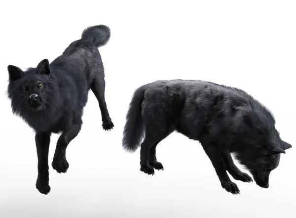 Lycan Stock Photos, Royalty Free Lycan Images | Depositphotos