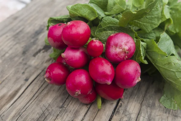 Nabos rojos en ruso Stock Photos, Royalty Free Nabos rojos en ruso ...