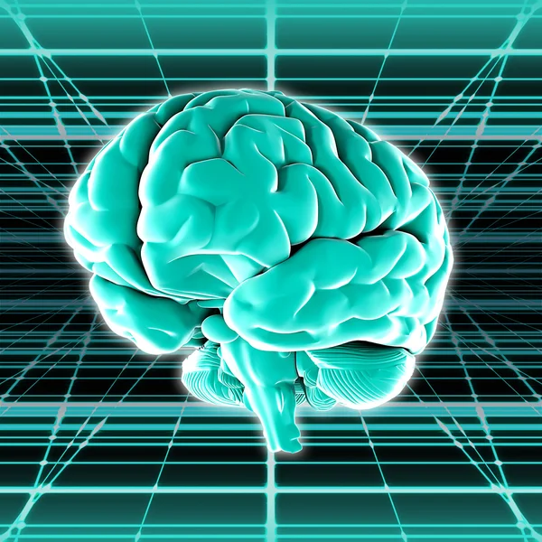 Virtual rodea la imagen cerebral en el espacio digital. Una alta re 2023