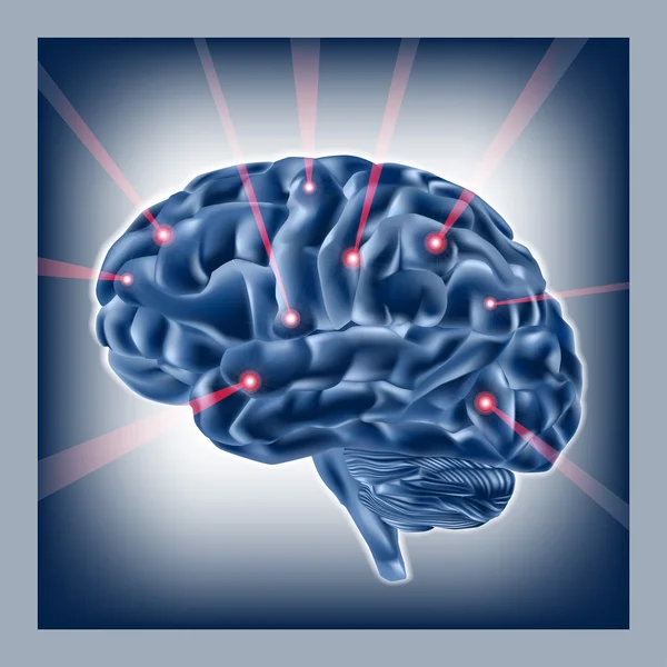 Human brain Stock Vector Image by ©blueringmedia #26395925