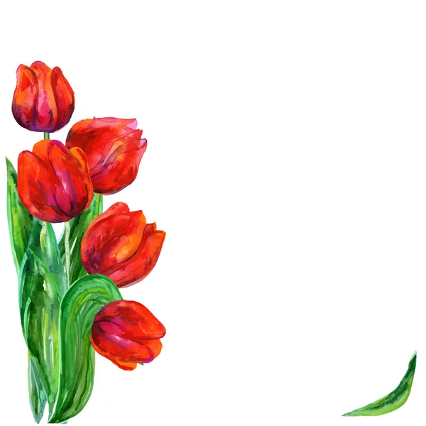 Tulipán rajz Stock vektorok, Tulipán rajz Jogdíjmentes illusztrációk ...