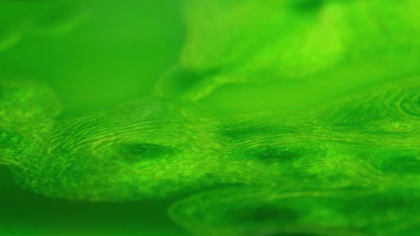 14,618 Plano de fundo texturizado colorido Videos, Royalty-free Stock ...