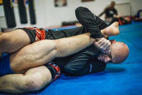 BJJ Jiu-jitsu brasile o combate terrestre entrenamiento combate moderado. T cnica de control de ...