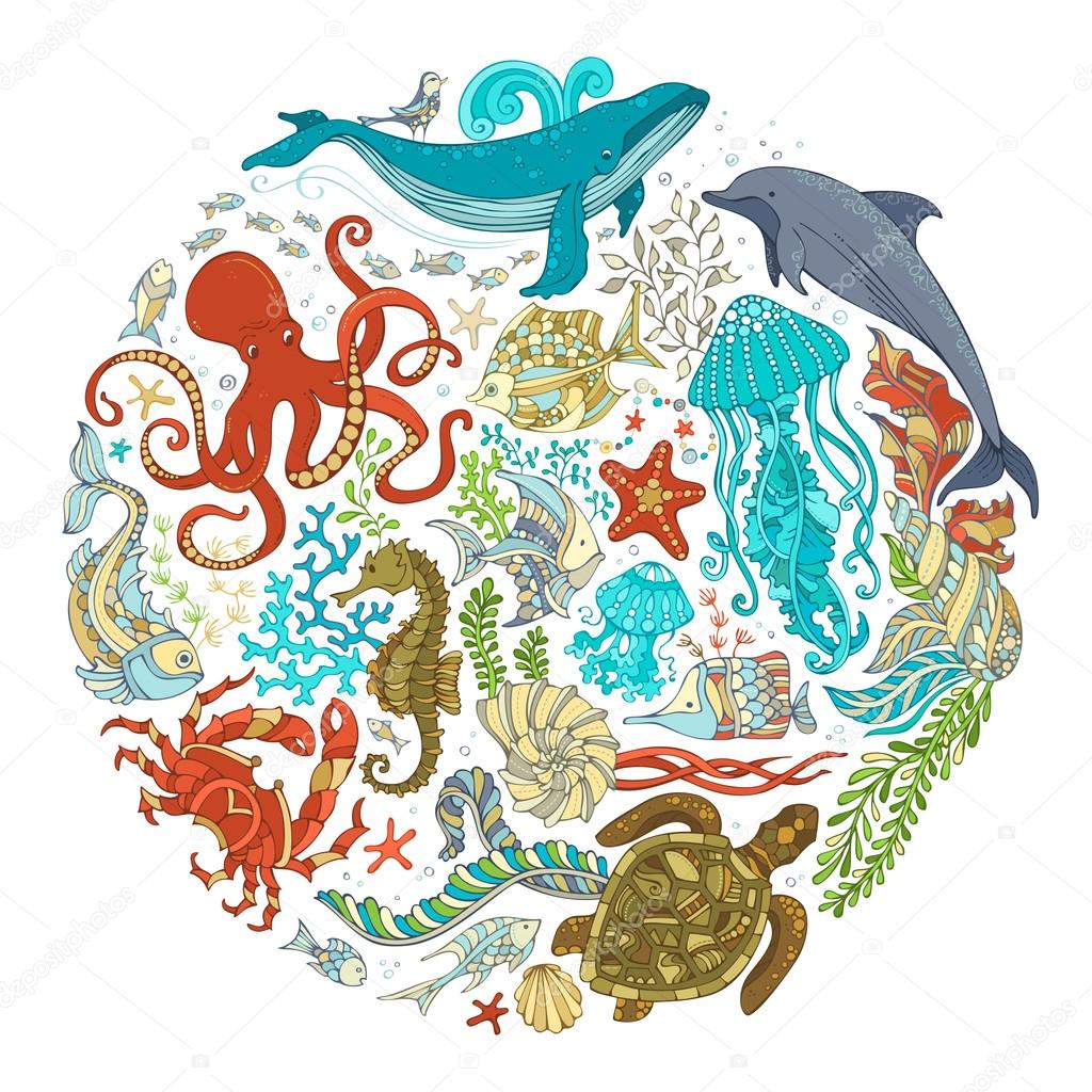 Círculo vector conjunto de dibujos animados animales marinos 2023