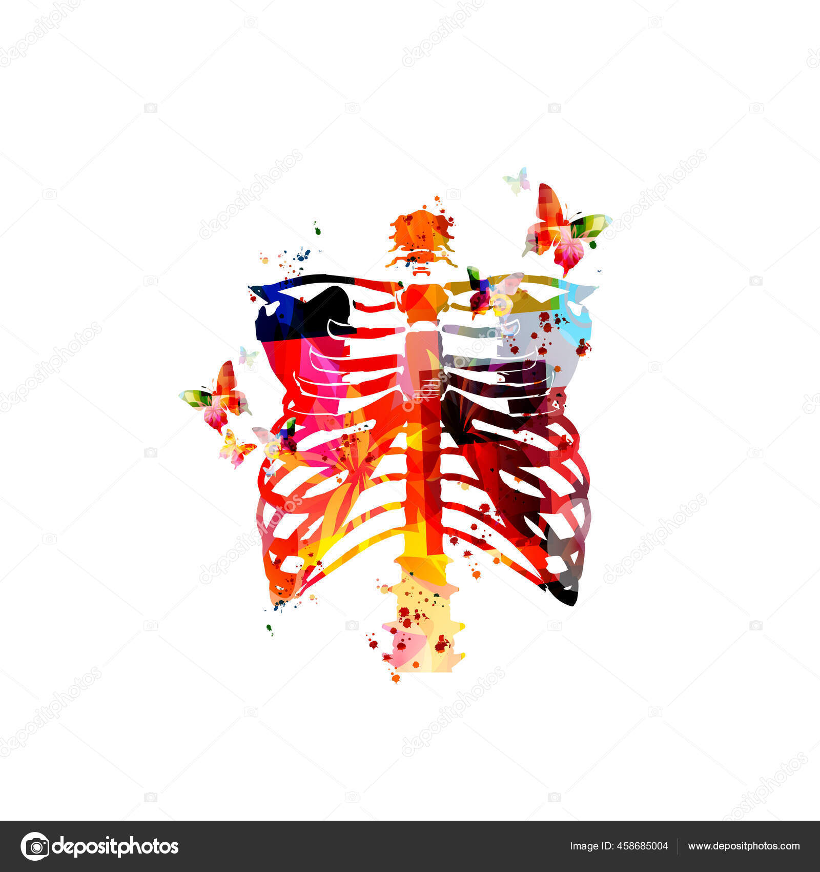 Colorful Rib Skeleton Rib Cage Bones Anatomical Poster Human Skeletal ...