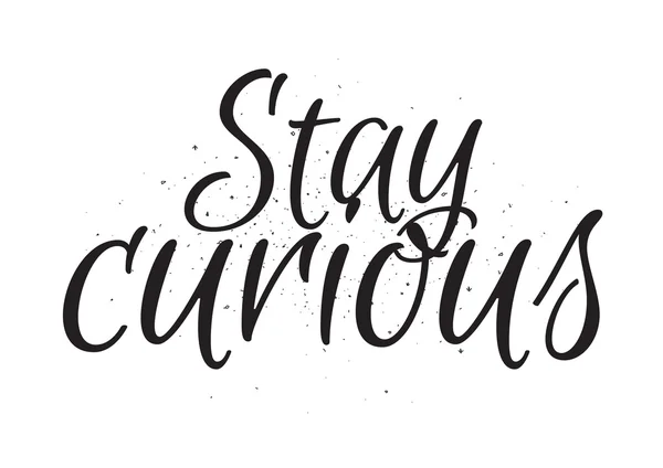 Stay curious Vector Art Stock Images | Depositphotos