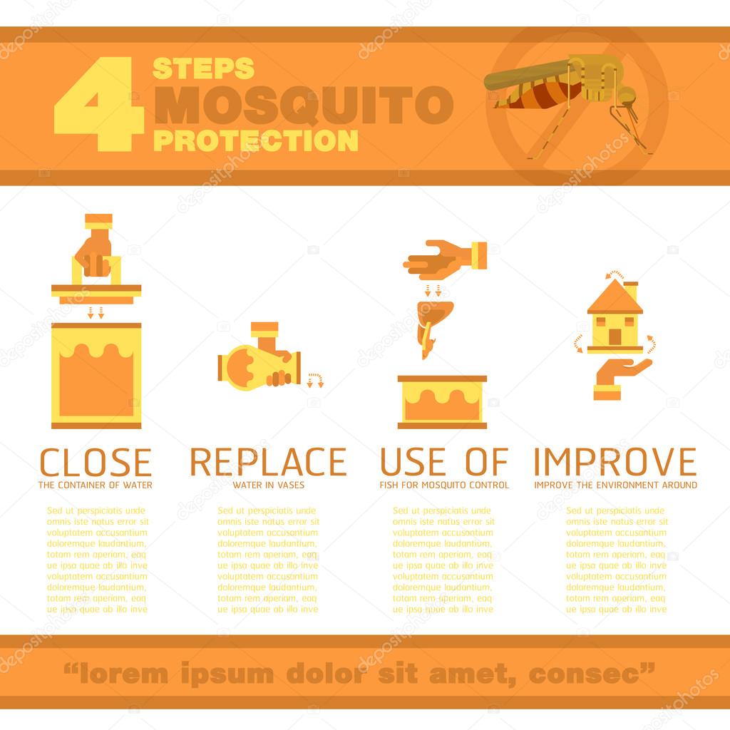 Image vectorielle Infographie sur la protection contre les moustiques ...