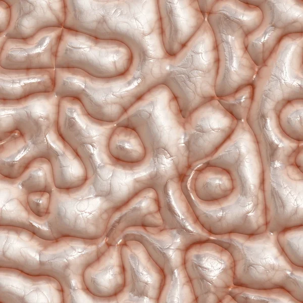 Seamless brain texture. Realistic material of the human brain. — Stock ...