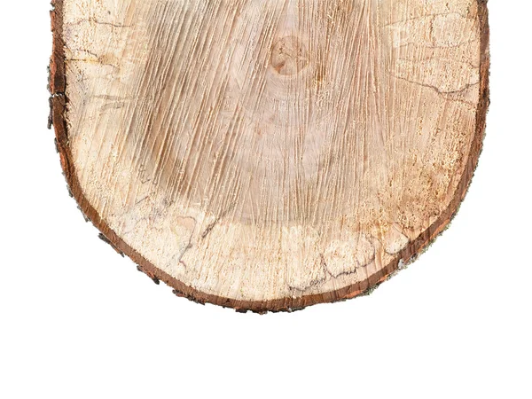 Cross-section wood isolated on white Stock Photo by ©501room 43522181
