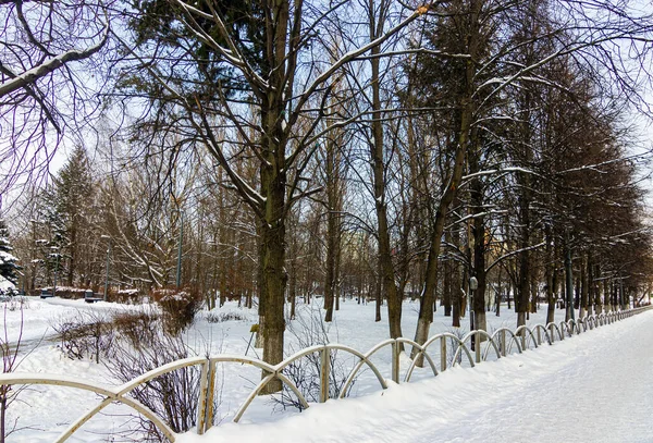 Park winter Stock Photos, Royalty Free Park winter Images | Depositphotos