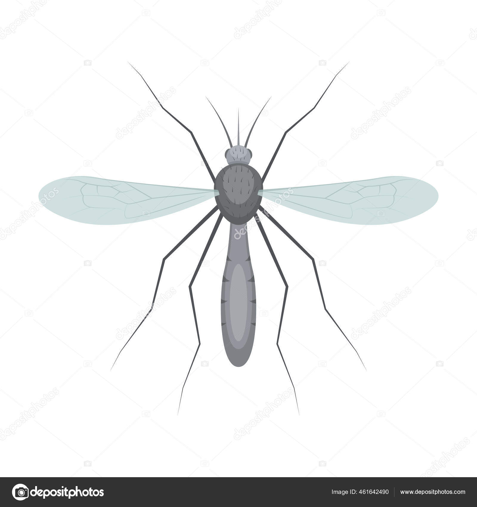 Mosquito Insect Vector Design Illustration Isolated White Background ...