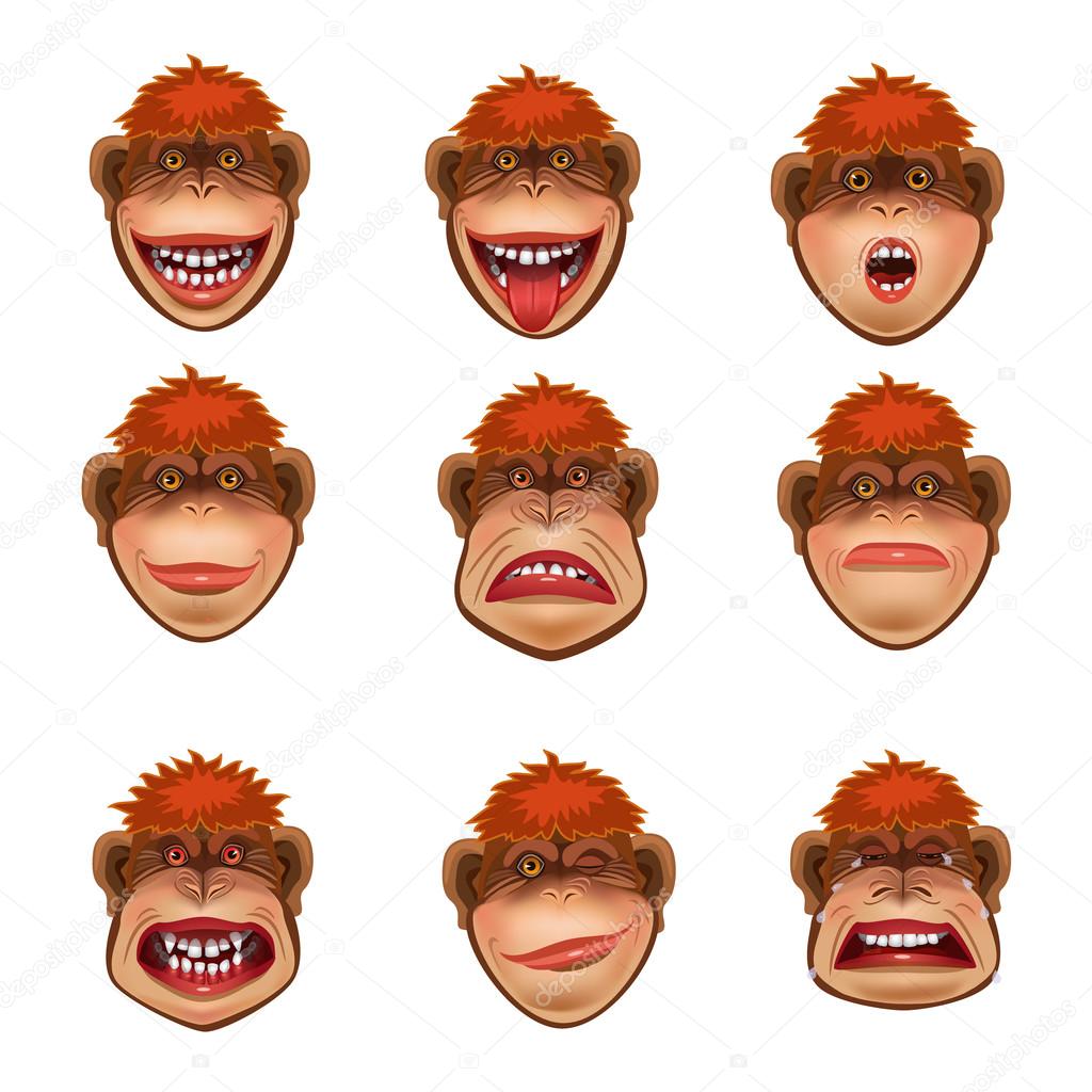 Emotions and facial expressions of monkeys — Stock Vector © arefan7 ...