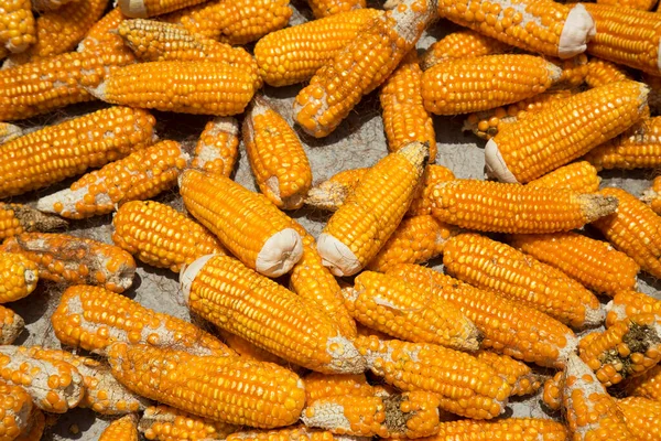 Pilled up Pictures, Pilled up Stock Photos & Images | Depositphotos®