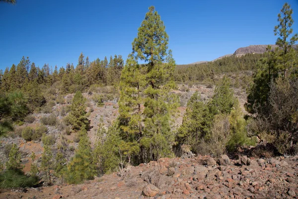 Paisaje de la puna images libres de droit, photos de Paisaje de la puna ...