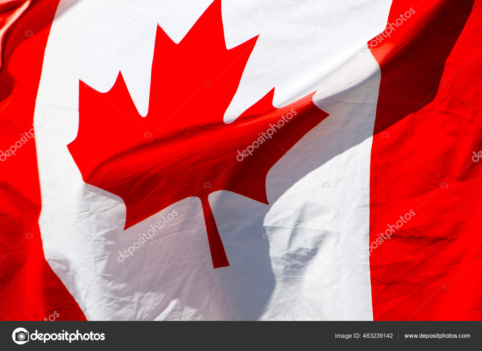 Canadian Flag Red Maple Leaf Stock Photo by ©skahadigital 463239142