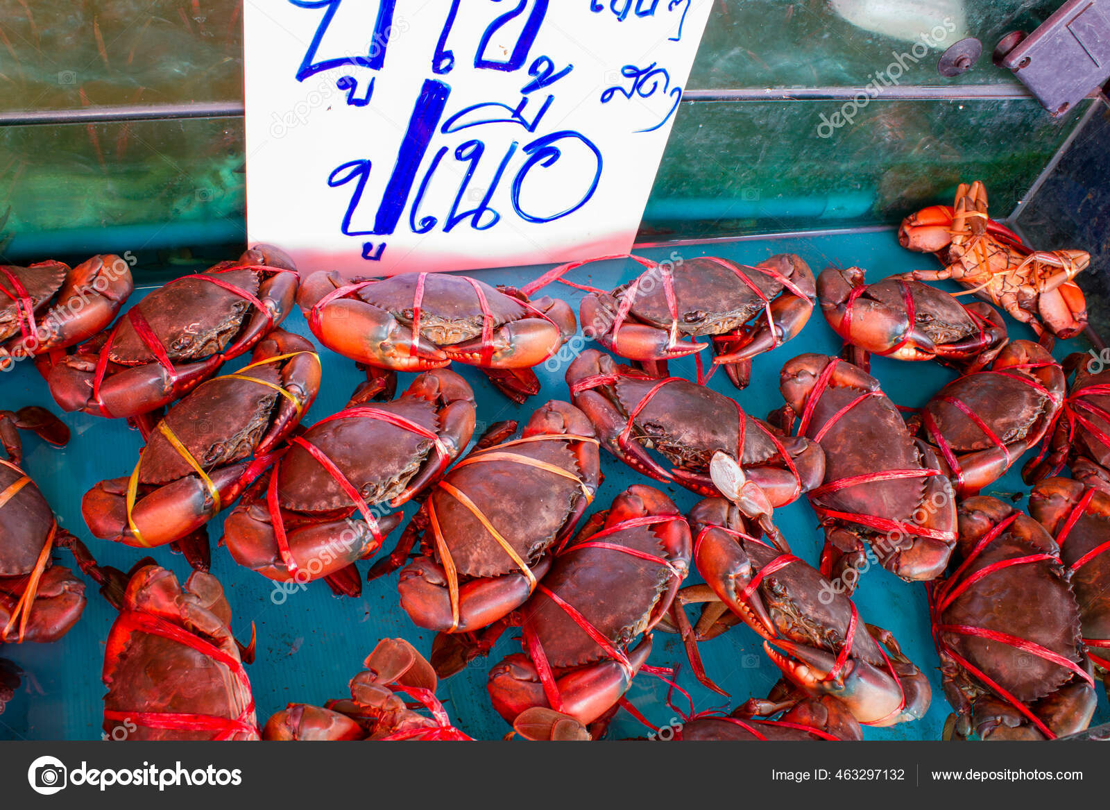 Freshwater Mud Crab Thai Fish Market Thailand — Stock Photo © skahadigital #463297132