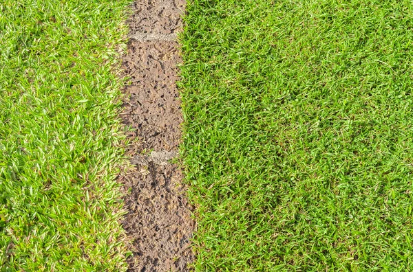 Sod installation replacement Stock Photos, Royalty Free Sod ...