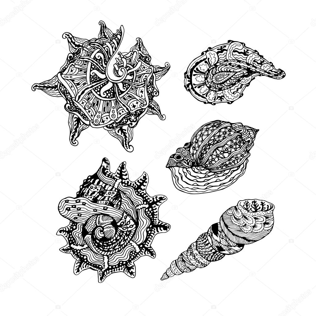 Vector set of abstract shells. Stock Vector Image by ©airin.dizain ...