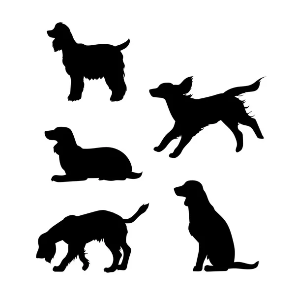 977 Cocker spaniel Vectors, Royalty-free Vector Cocker spaniel Images ...