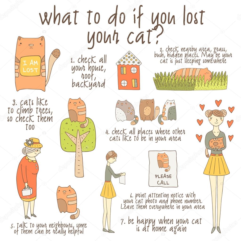 Instruction about what to do if you lost your cat Stock Vector by ...