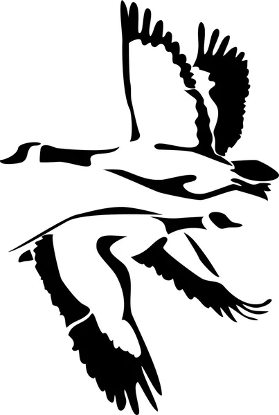 Canadian goose Vector Art Stock Images | Depositphotos