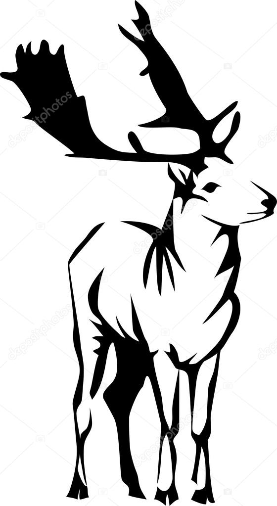 Fallow deer Stock Vector Image by ©bokononist #83668746