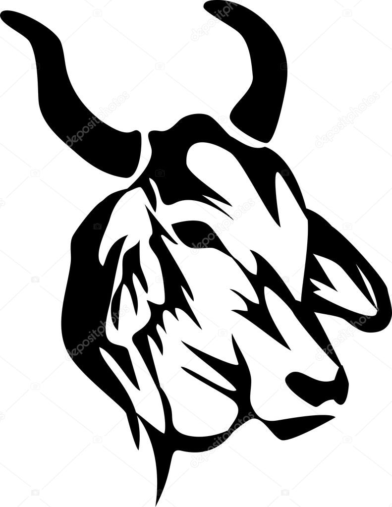 Tête de zébu — Image vectorielle bokononist © #90370072