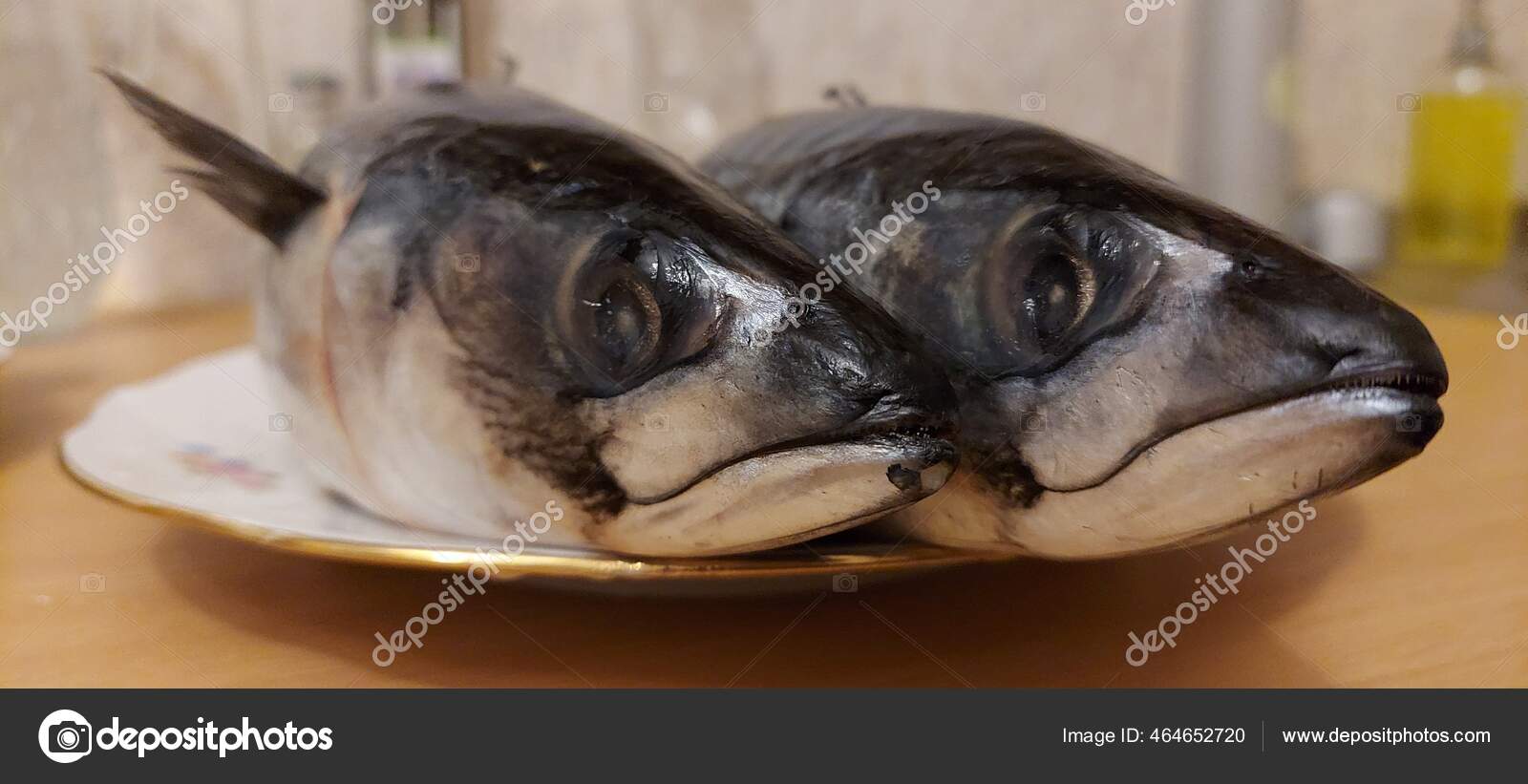 Two Herring Fish Lie Platter Table — Stock Photo © Andrei_SherKhan ...