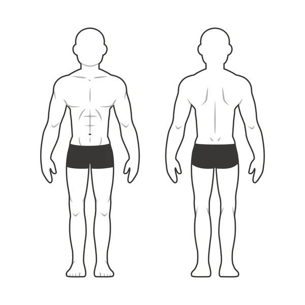 Male Body Types Chart